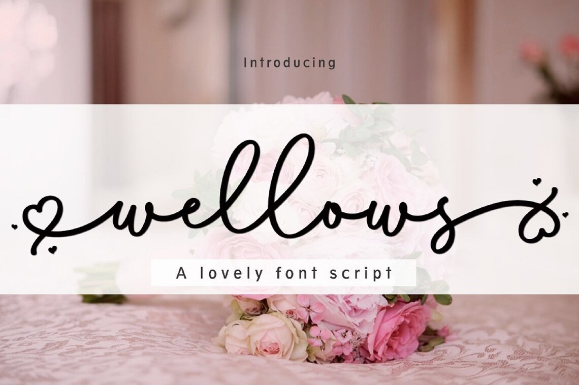 20 Calligraphy Font Bundle Cursive Font Font for Cricut | Etsy