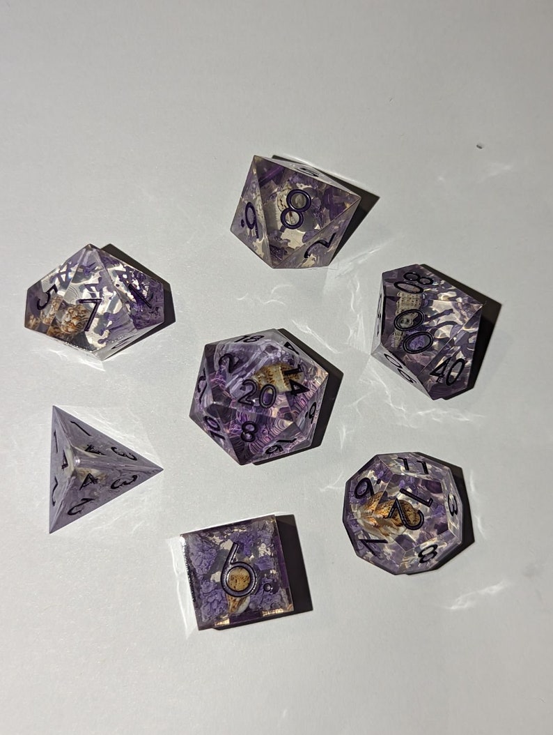 Purple Petri and Shell Dice Set - Etsy