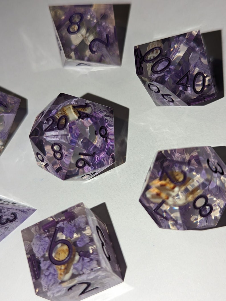 Purple Petri and Shell Dice Set - Etsy