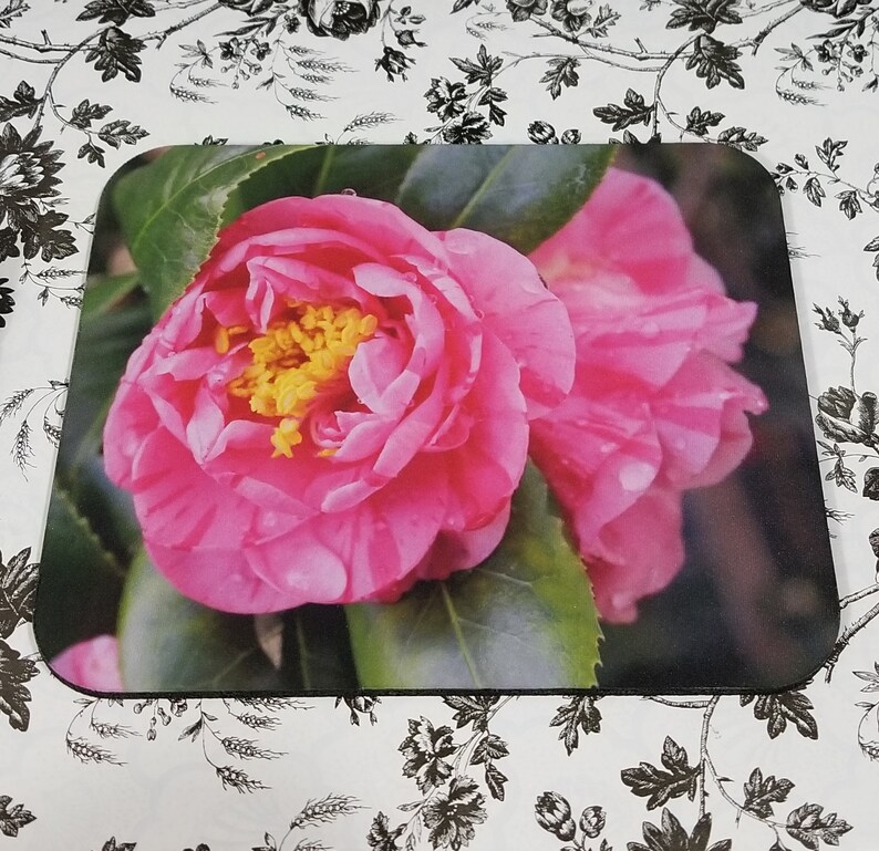 Camellia Mousepad Flower Garden Photography Computer Laptop - Etsy