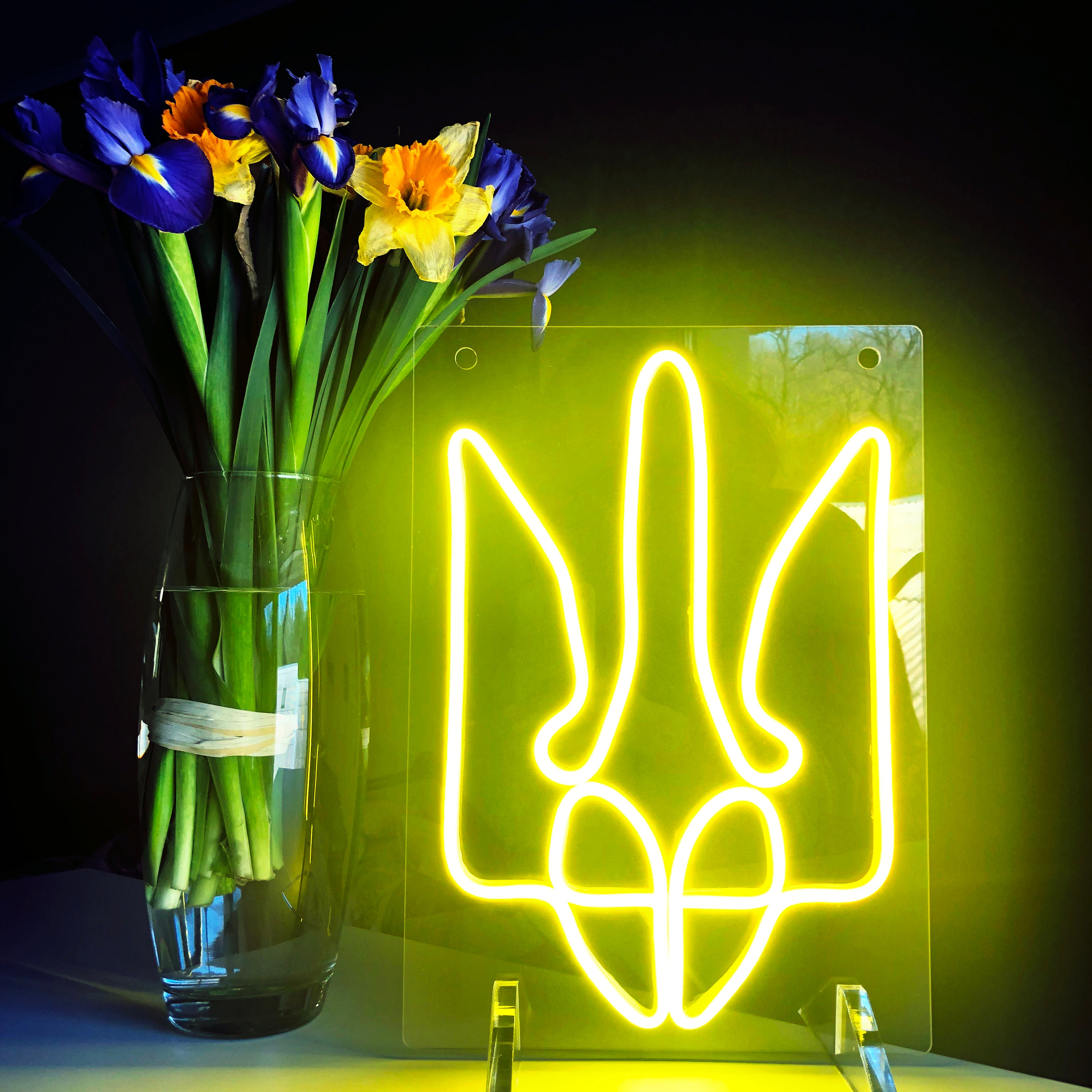 Trident, Emblem of Ukraine, Coat of Arms, LED Flex Neon Sign, Custom ...