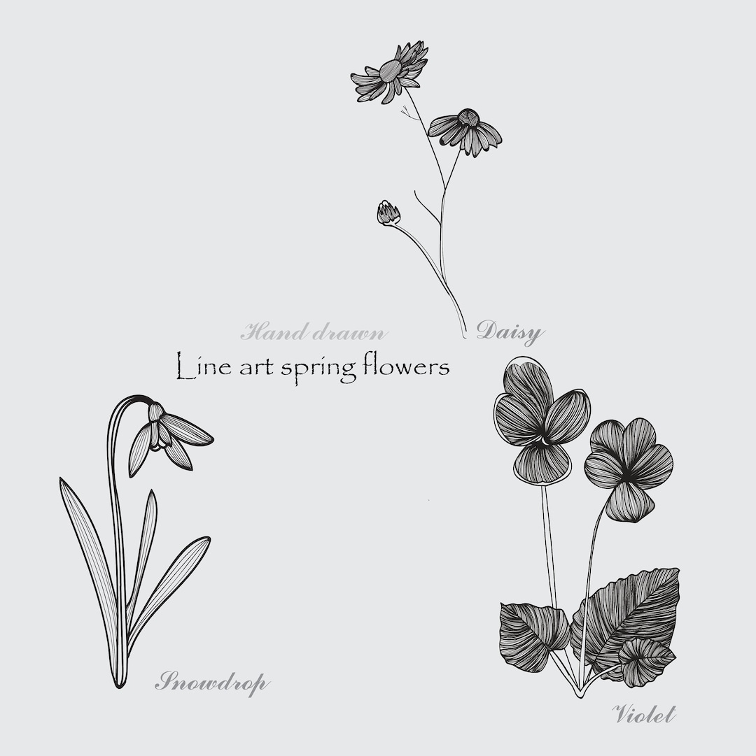 Hand Drawn Line Art Spring Flowers - Etsy
