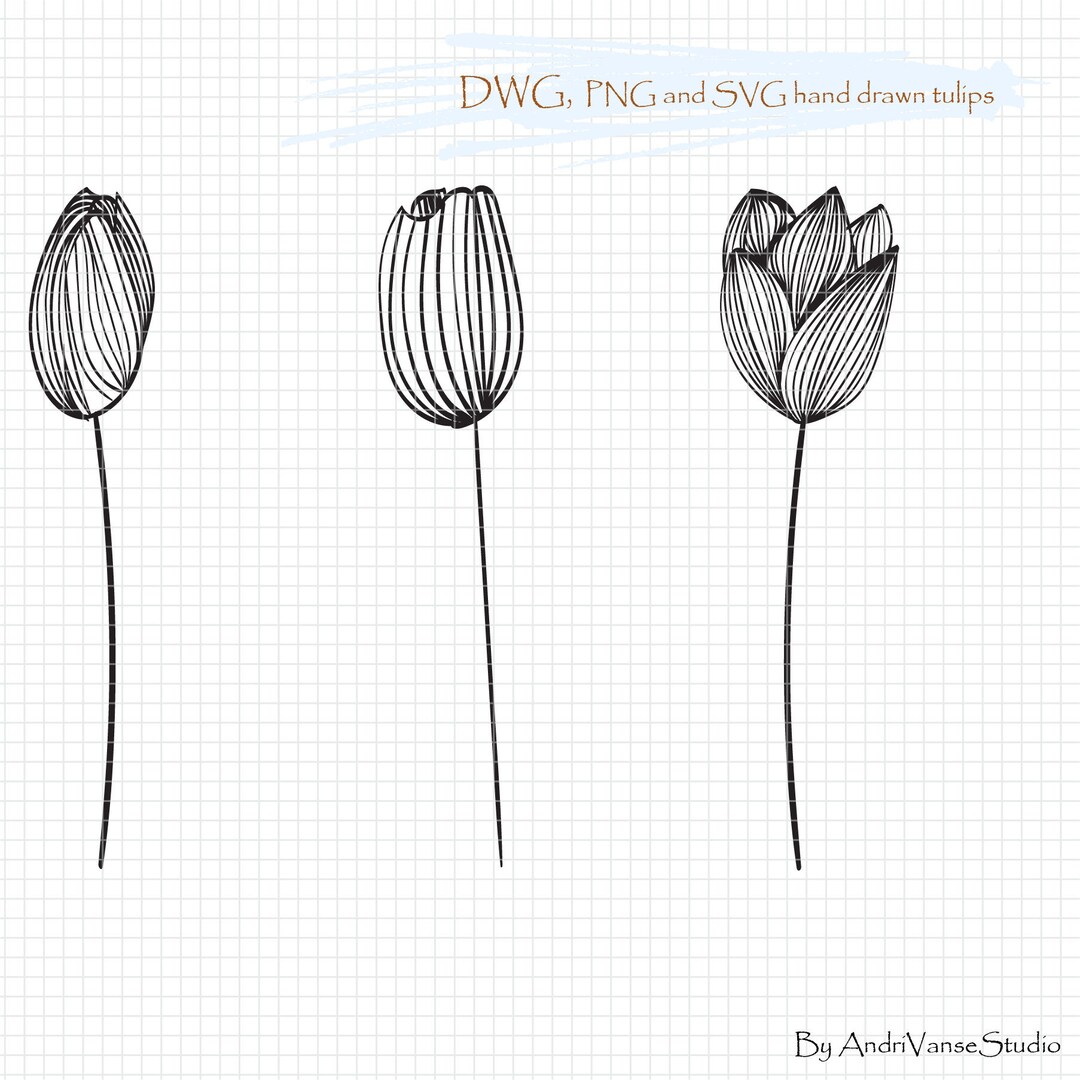 Hand Drawn Line Art Tulips - Etsy