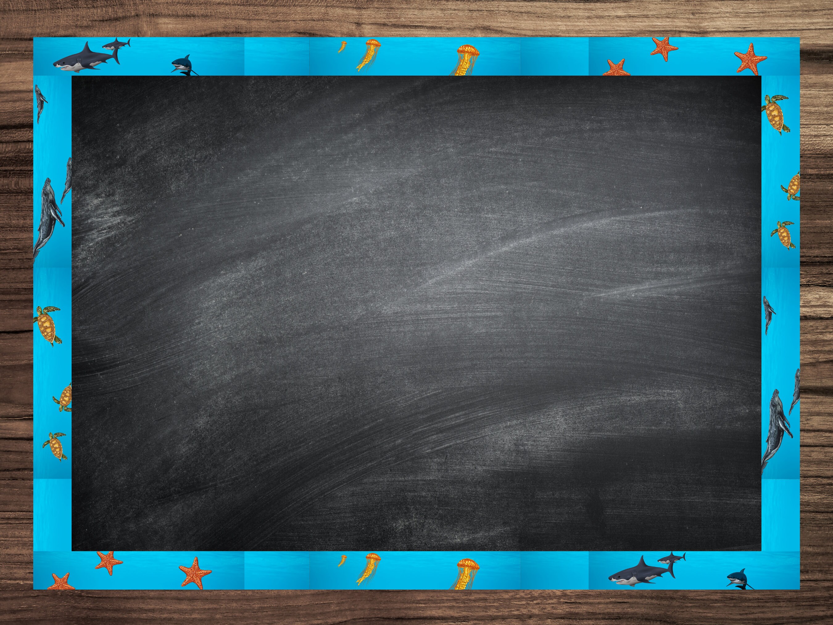 Classroom Bulletin Board Border Under the Sea Pattern Classroom Decor ...