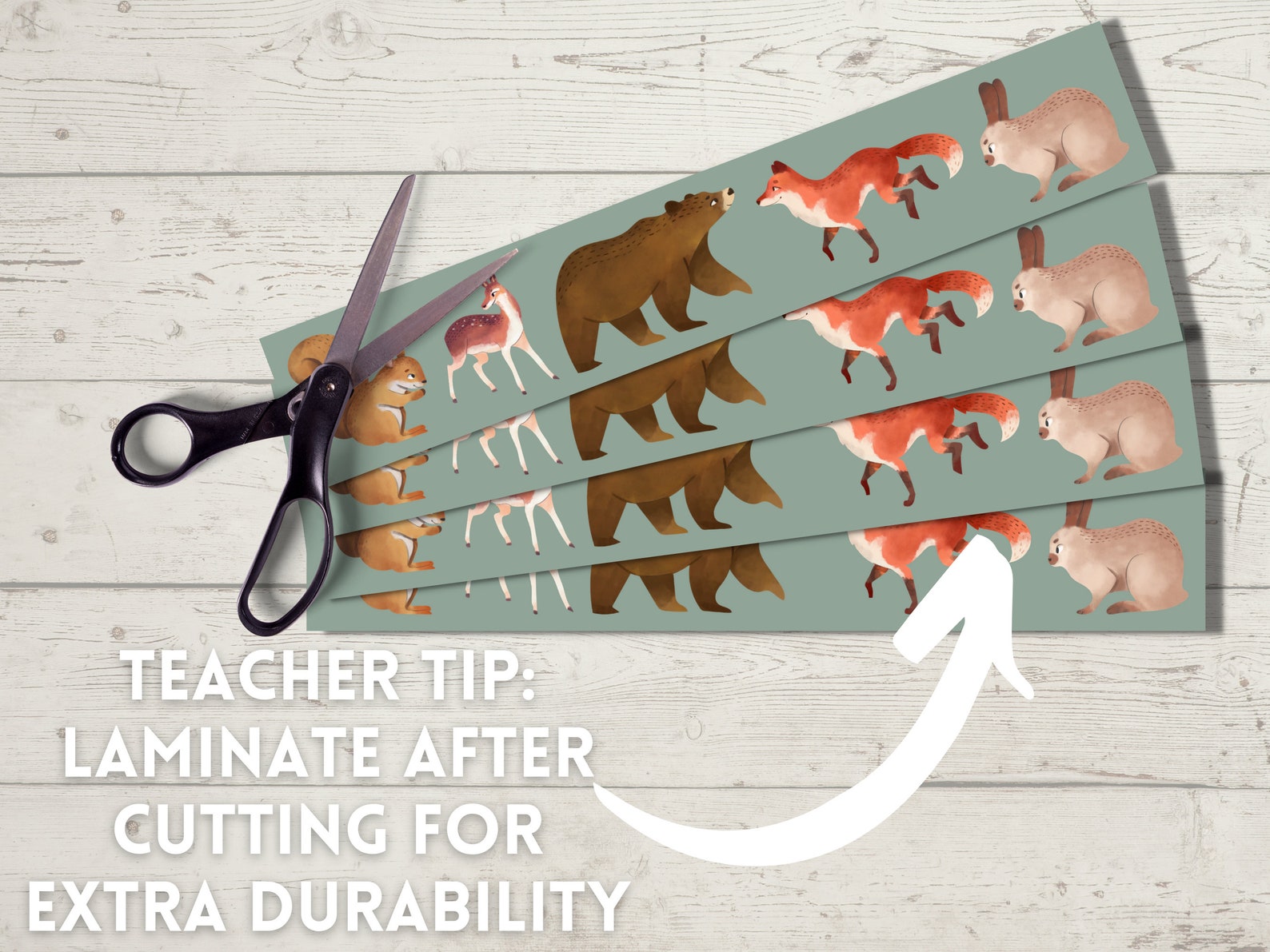 Boho Nature Woodland Animals Bulletin Board Border – Teacher Classroom ...