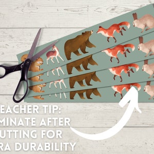 Boho Nature Woodland Animals Bulletin Board Border – Teacher Classroom ...