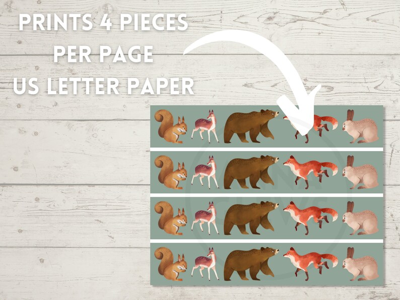 Boho Nature Woodland Animals Bulletin Board Border – Teacher Classroom ...