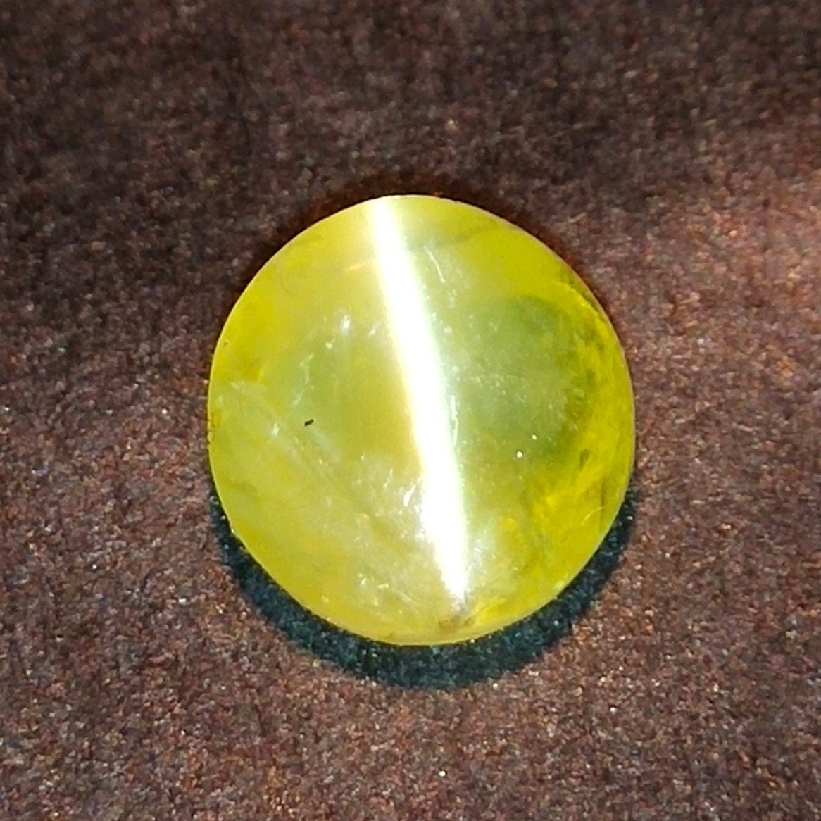 Natural Chrysoberyl Cats Eye Chrysoberyl Cabochons Round - Etsy