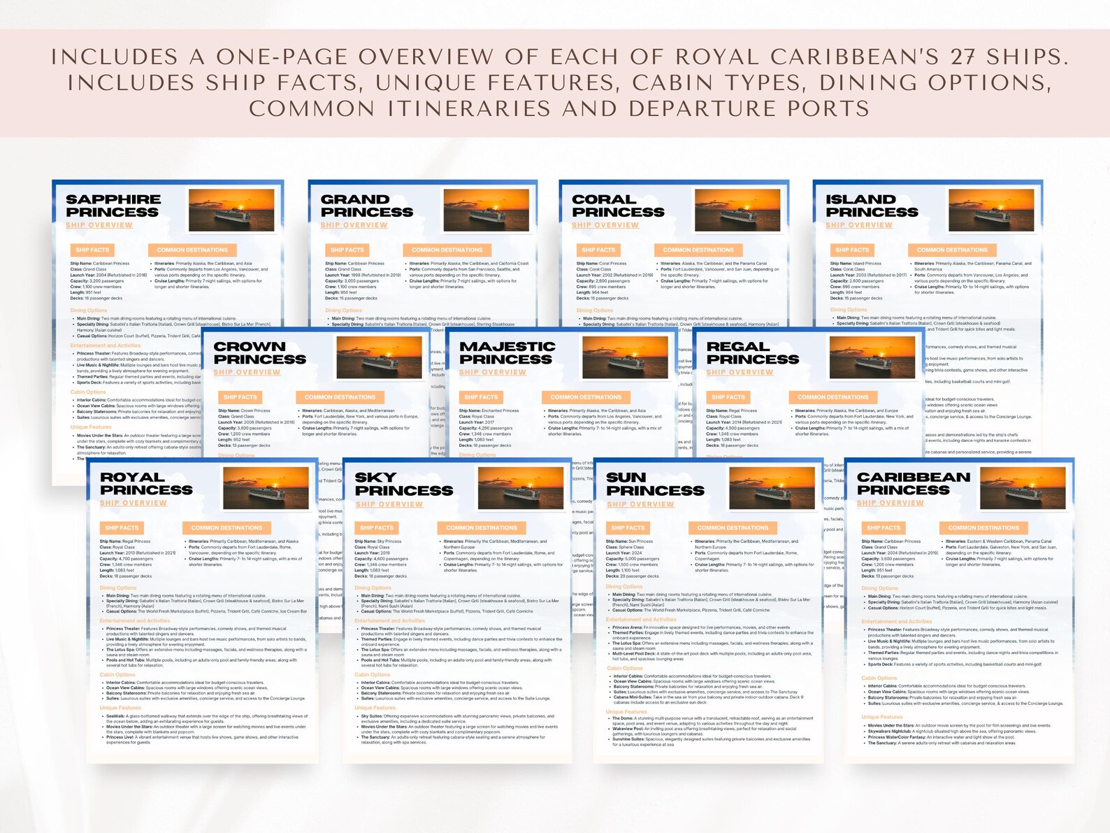 Unofficial Princess Cruise Ship Guide, Travel Agent Template - Etsy