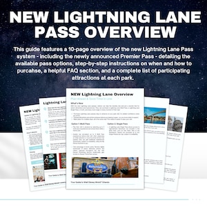 WDW Travel Agent Starter Kit Template Bundle, Travel Agent Templates - Etsy