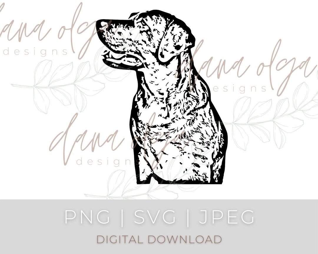 Chocolate Labrador Retriever SVG, PNG, JPG Design File Digital Download ...