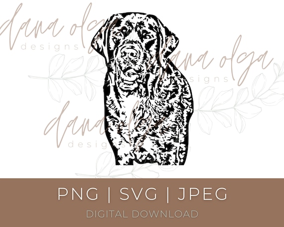 Chocolate Labrador Retriever SVG PNG JPG Design File | Etsy