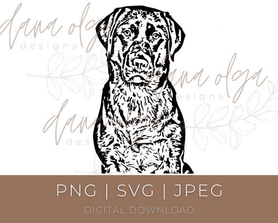 Chocolate Labrador Retriever SVG PNG JPG Design File - Etsy Ireland