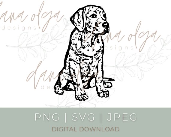 Labrador Retriever Puppy SVG PNG JPG Design File Digital | Etsy