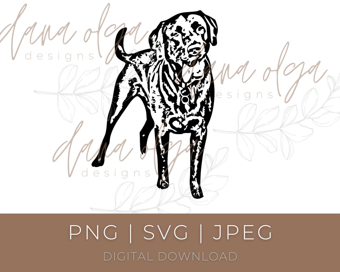 Chocolate Labrador Retriever SVG, PNG, JPG Design File Digital Download ...