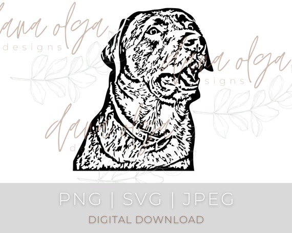 Silver Labrador Retriever SVG PNG JPG Design File Digital | Etsy