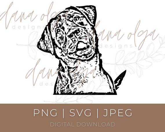 Chocolate Labrador Retriever SVG PNG JPG Design File - Etsy