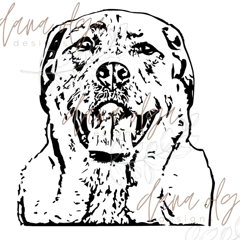 Labrador Retriever SVG PNG JPG Design File Digital | Etsy