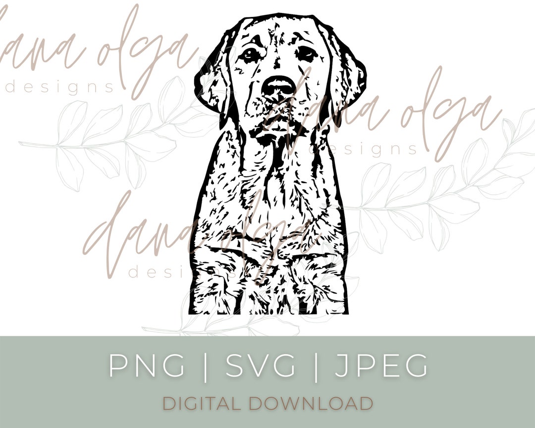 Labrador Retriever SVG, PNG, JPG Design File Digital Download Digital ...