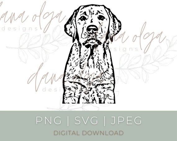 Labrador Retriever SVG PNG JPG Design File Digital | Etsy
