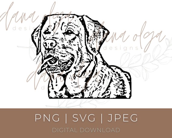 Labrador Retriever SVG PNG JPG Design File Digital | Etsy