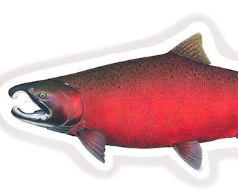 Coho Salmon Metal 35in Handmade Fish Wall Art Sculpture Lodge Cottage ...