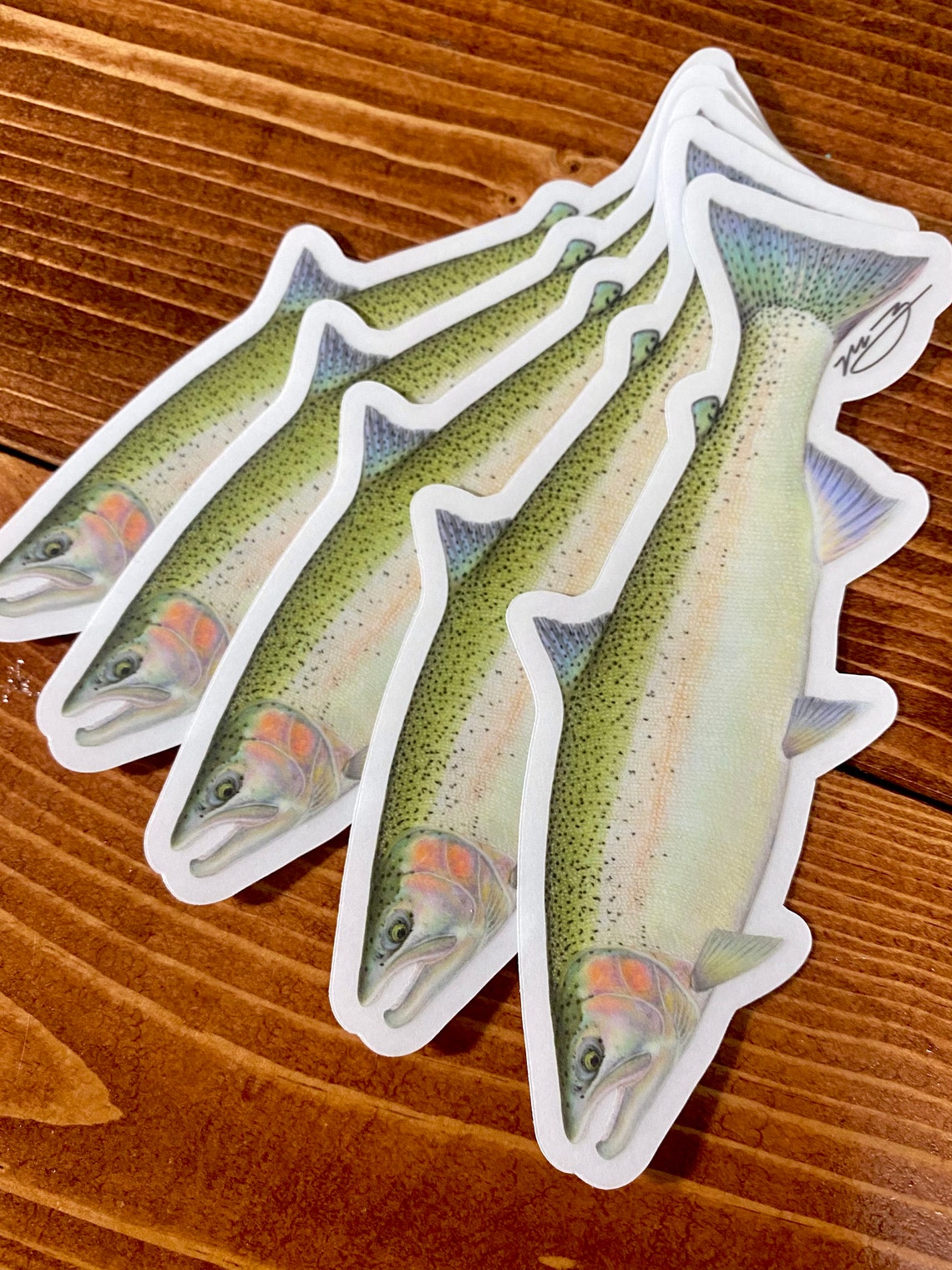 Steelhead Sticker - Etsy