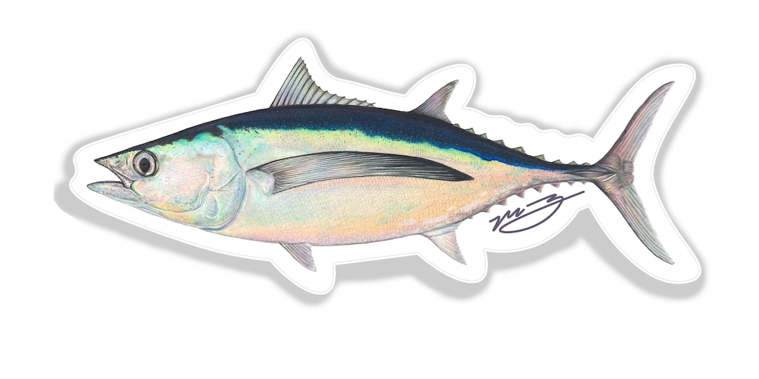Albacore Tuna Sticker - Etsy