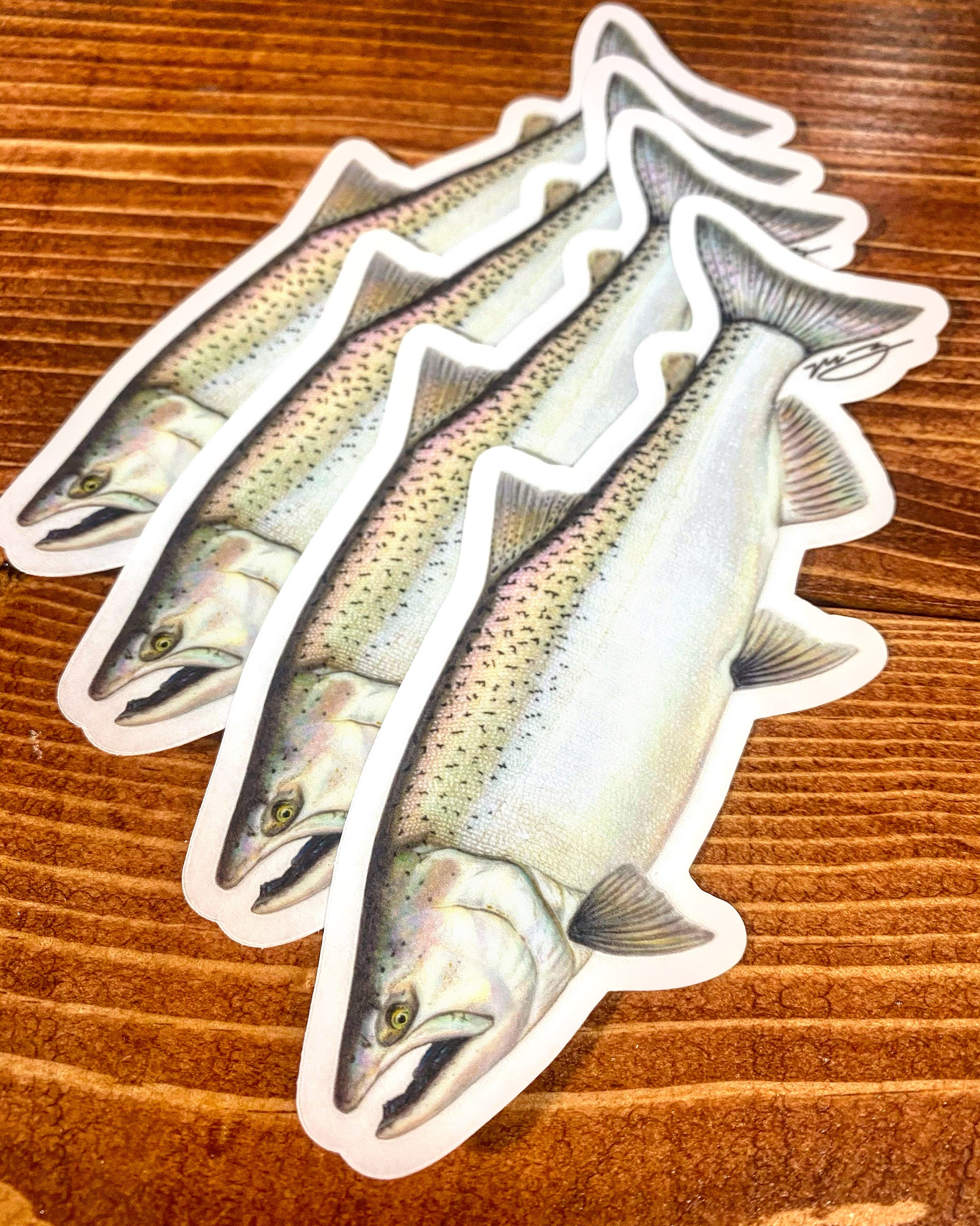 Chinook Salmon Sticker - Etsy
