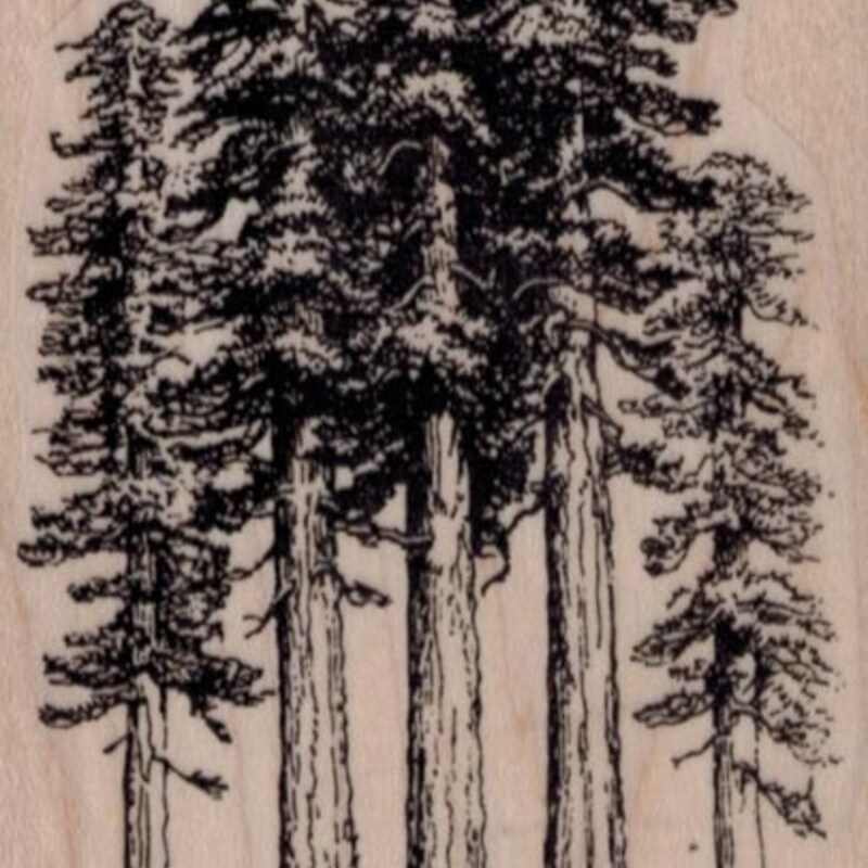 Tree Rubber Stamp - Etsy
