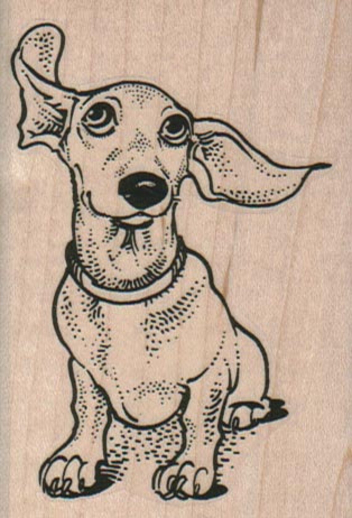 Dog Ears Flying Rubber Stamp 2 1/4 X 3 1/4 5242/507F Weiner - Etsy