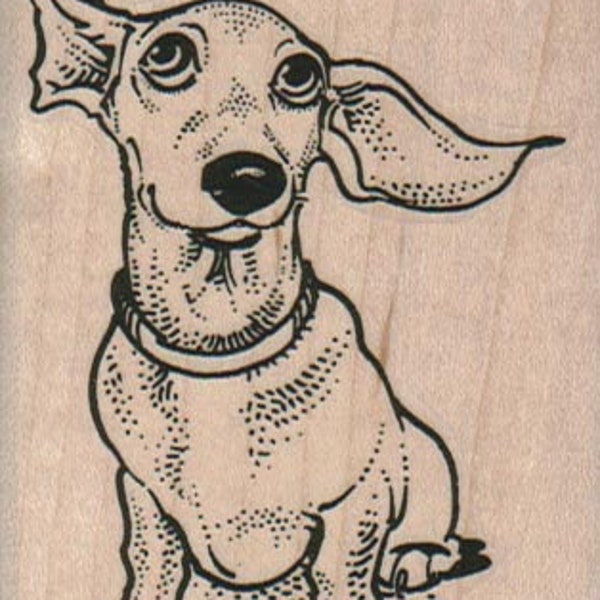 Dog Rubber Stamp - Etsy