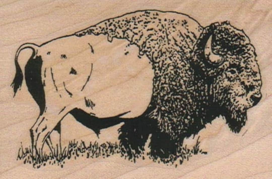 Buffalo in Grass Rubber Stamp 2 1/4 X 3 1/4 10530/1123E Bison Rubber ...