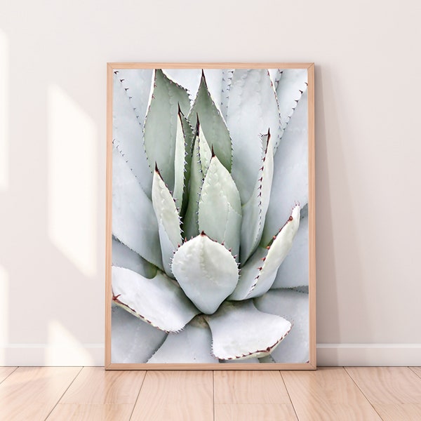 Agave Plant Wall Art - Etsy