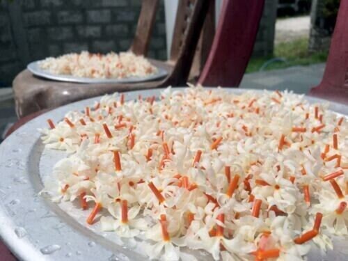 Night Jasmine Dried Tea Herbal Nyctanthes Sepalika Dried Organic - Etsy ...