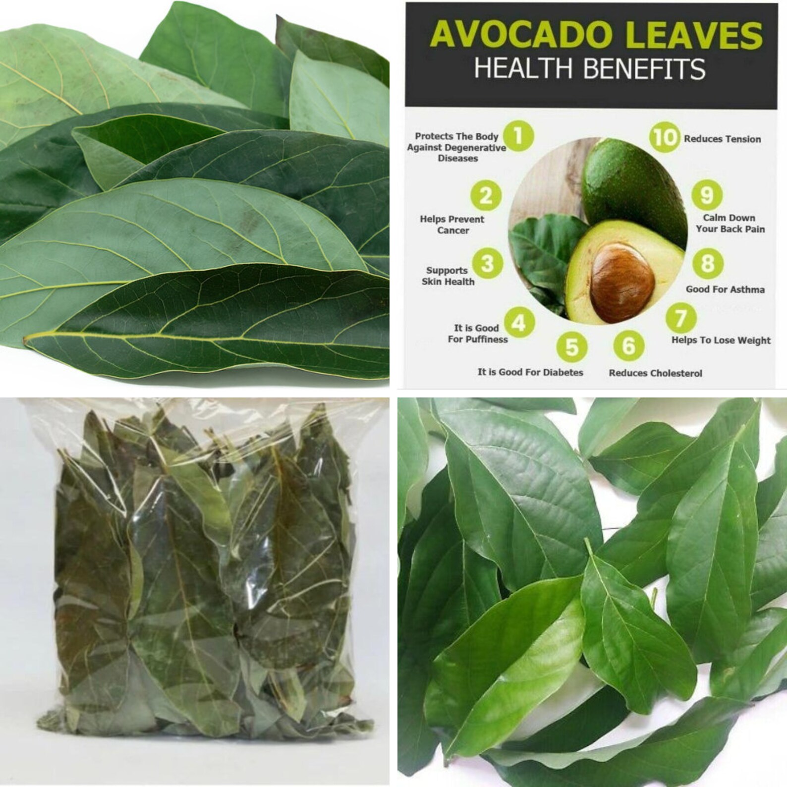 Avocado 1000 Leaves Pure Organic Dried Hojas De Aguacate, Dried Whole ...