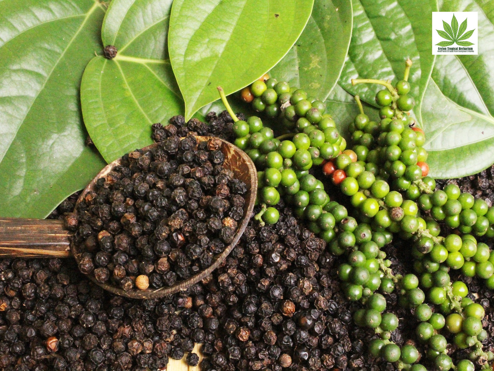 Schwarzer Pfeffer Ceylon schwarzer Pfeffer Bio Pfefferkörner | Etsy