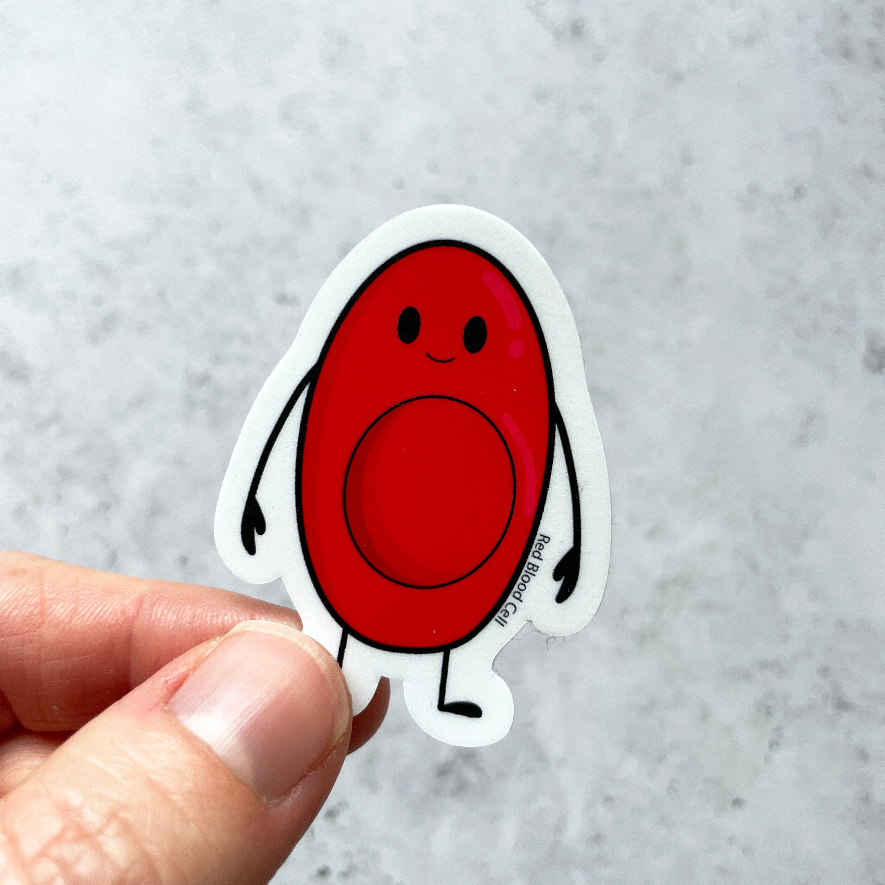 Erythrocyte Red Blood Cell Sticker - Etsy
