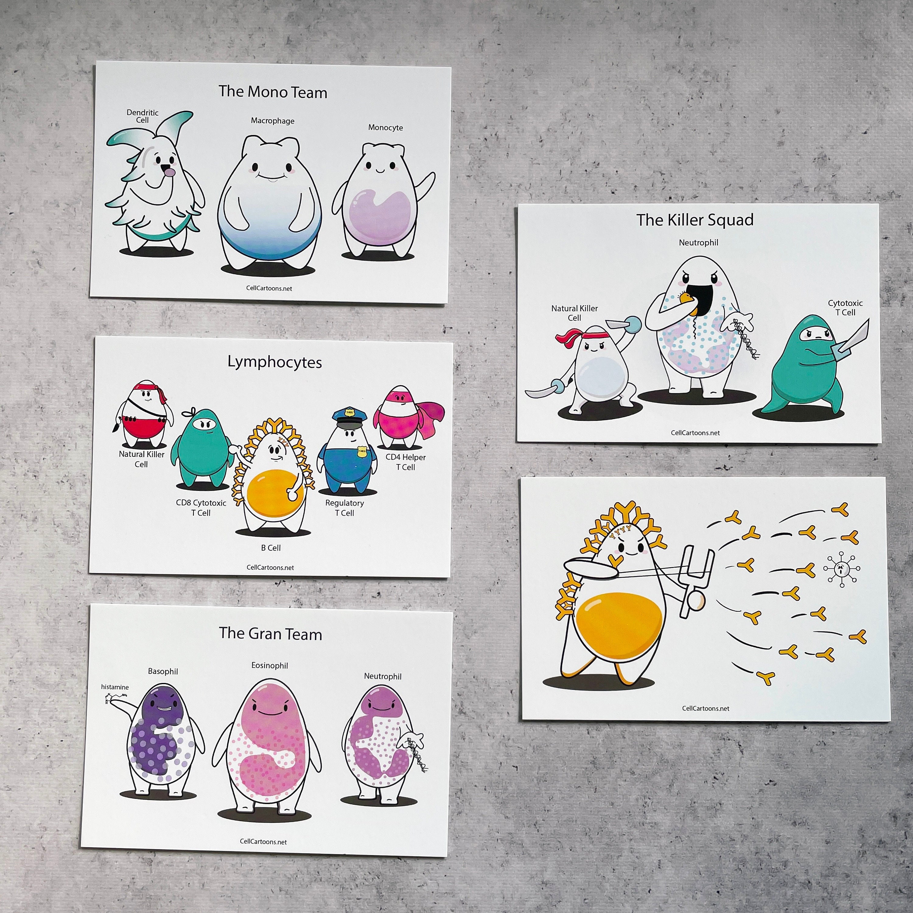 Immune Cell Postcards - Bundle 2 - Etsy