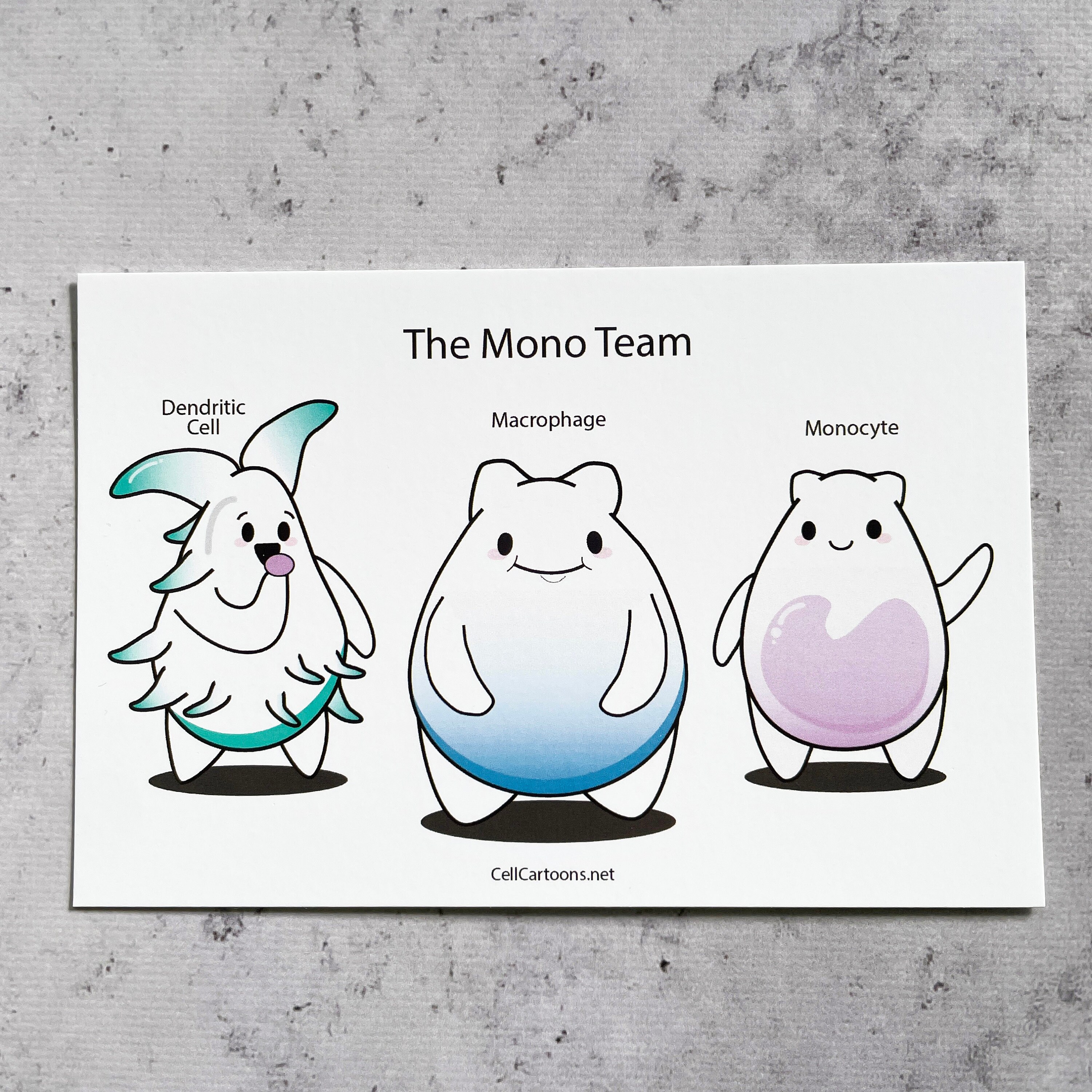 Immune Cell Postcards - Bundle 2 - Etsy