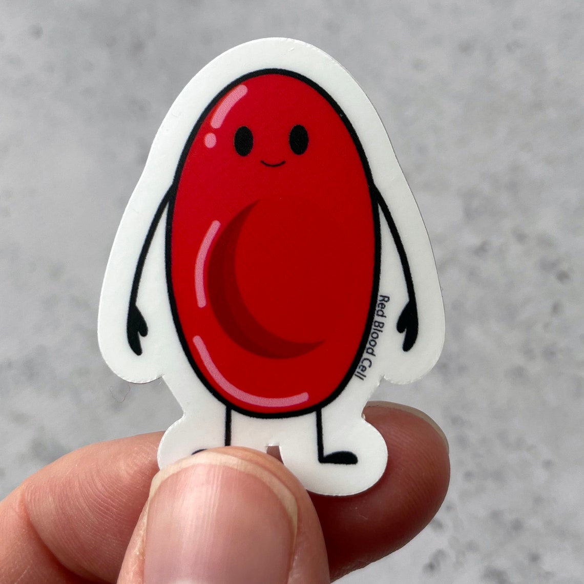 Erythrocyte Red Blood Cell Sticker | Etsy