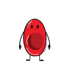 Erythrocyte Red Blood Cell Sticker | Etsy