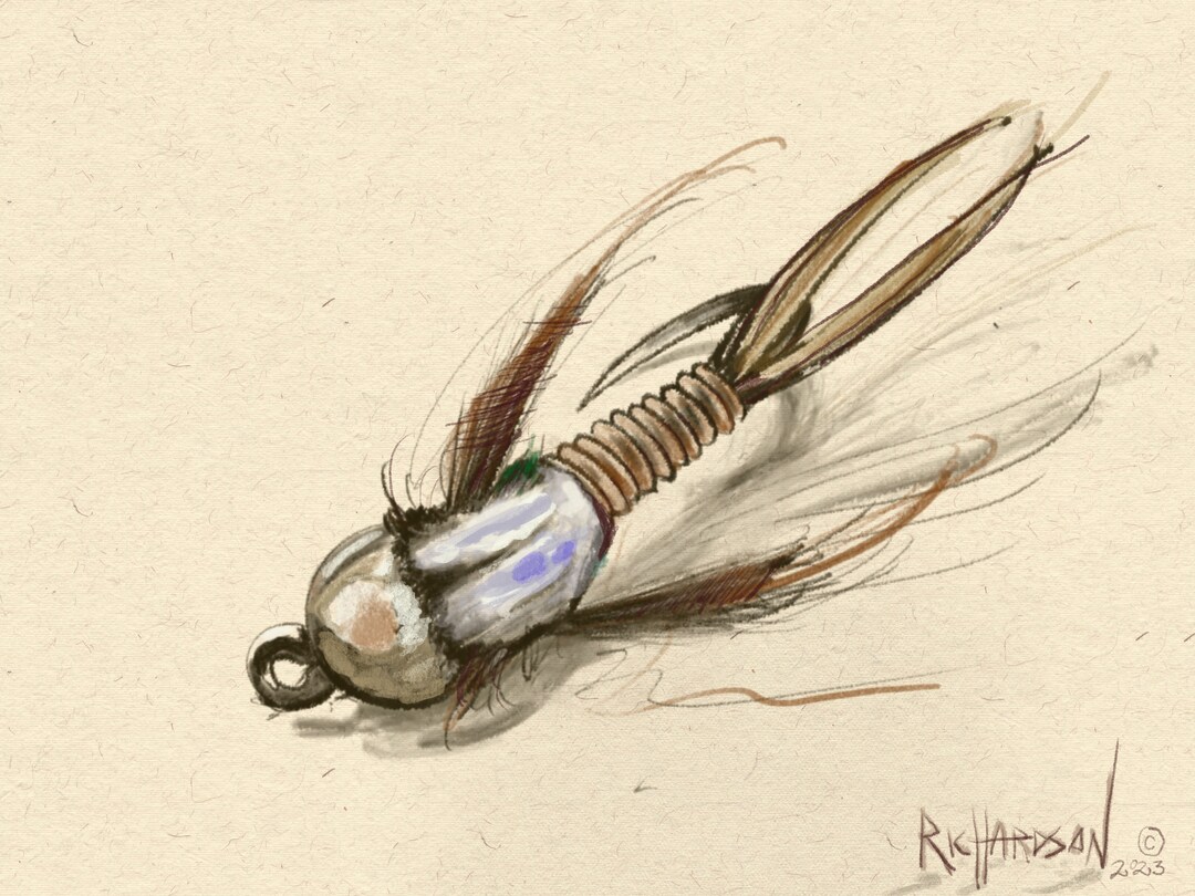 Copper John Fly Fishing Print - Etsy