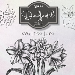 Daffodil Set 01 Botanical Illustration Clipart - Vintage Floral Commercial Use Journal ...