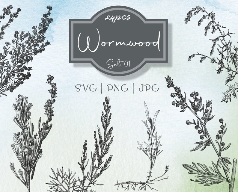 Wormwood Set 01 Botanical Illustration Clipart - Vintage Floral ...
