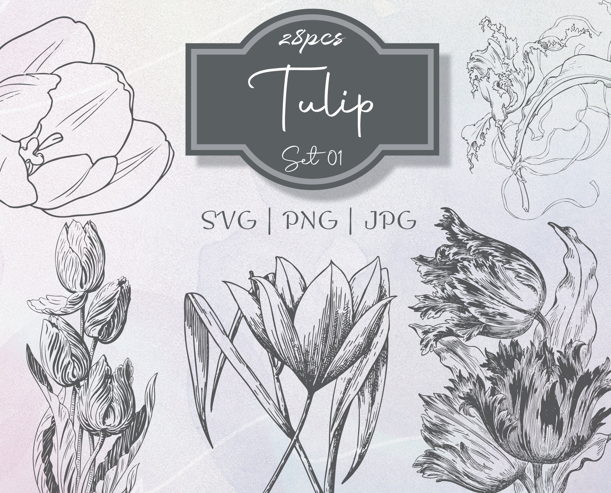 Tulip Set 01 Botanical Illustration Clipart - Vintage Floral Commercial ...