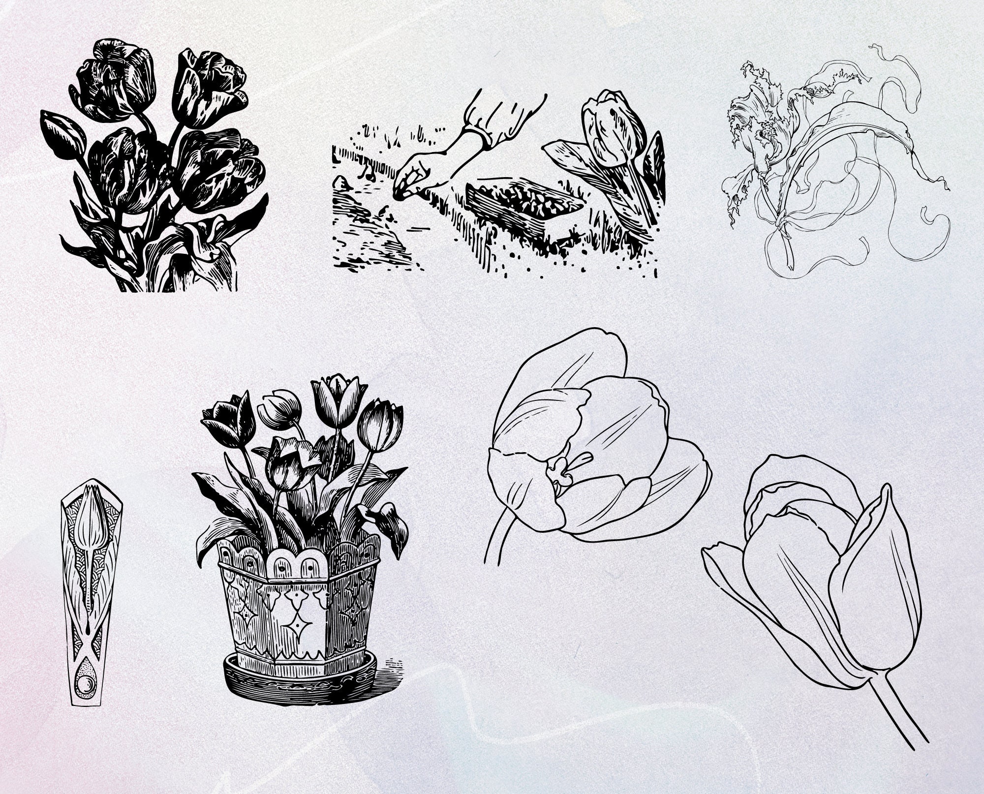 Tulip Set 01 Botanical Illustration Clipart - Vintage Floral Commercial ...