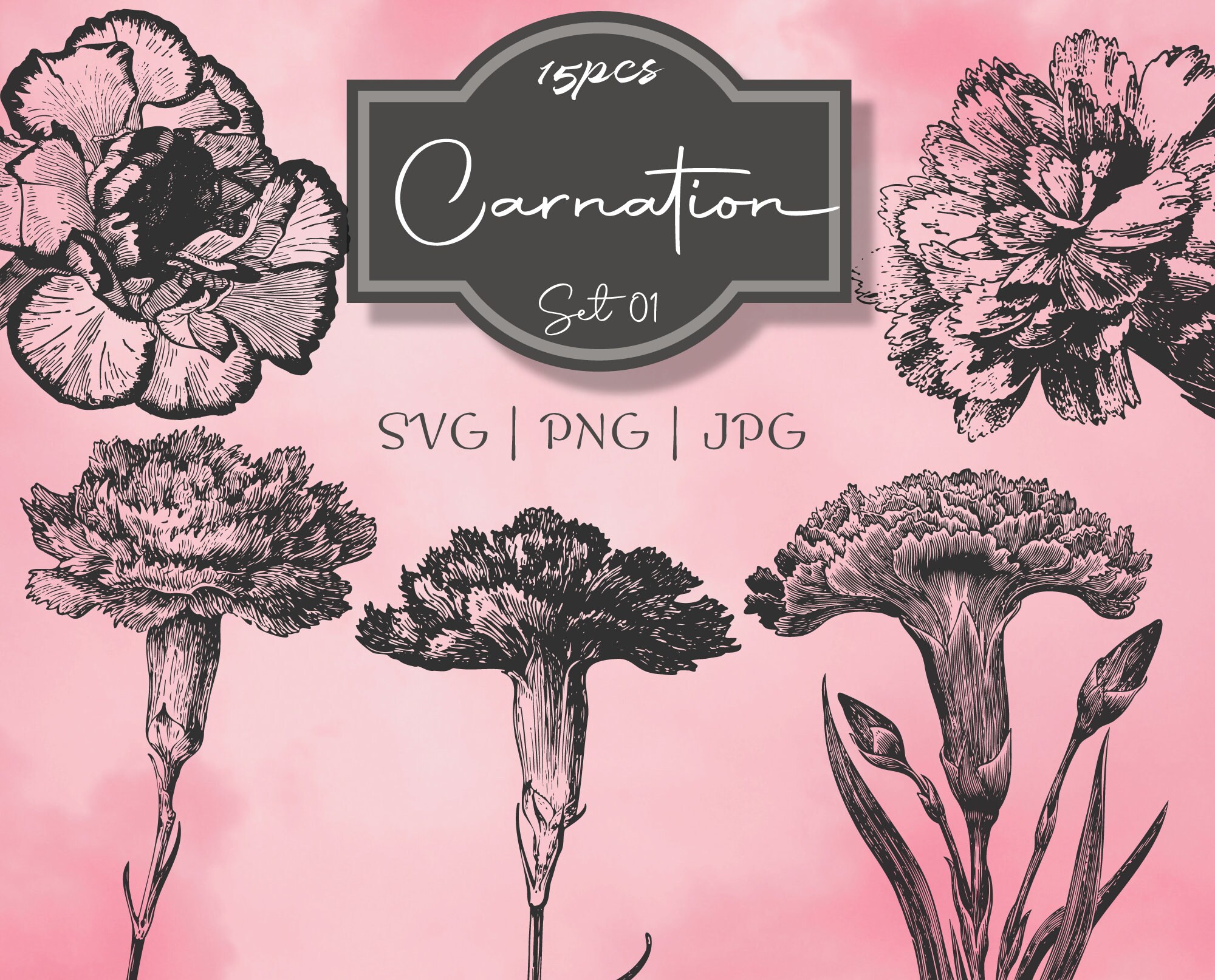 Carnation Set 01 Botanical Illustration Clipart - Vintage Floral ...