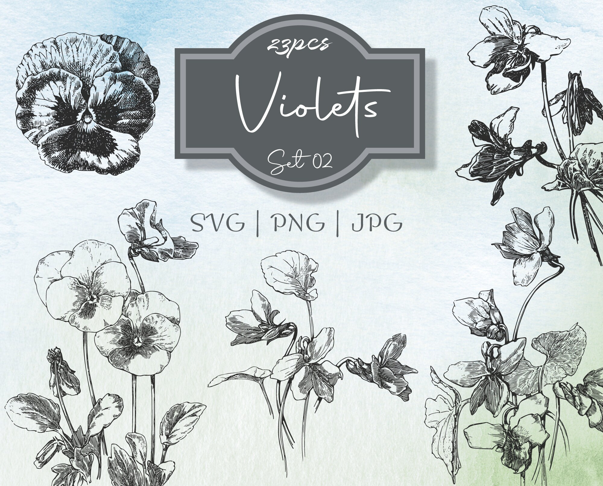 Violets Set 02 Botanical Illustration Clipart - Vintage Floral ...