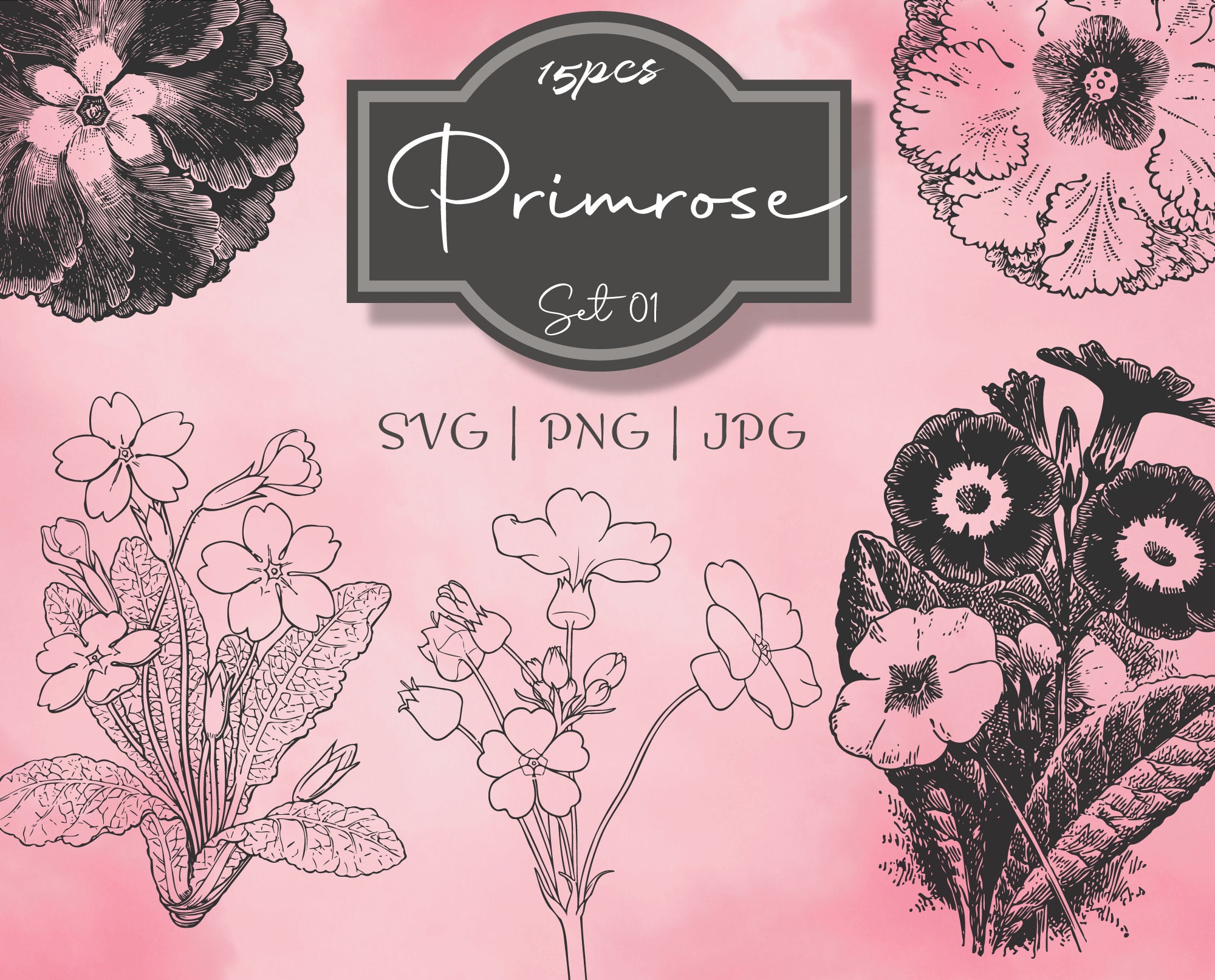 Primrose Set 01 Botanical Illustration Clipart - Vintage Floral ...